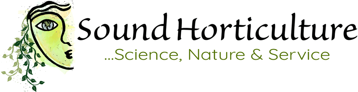 Stratiolaelaps scimitus - Effective Fungus Gnat Control | Sound ...