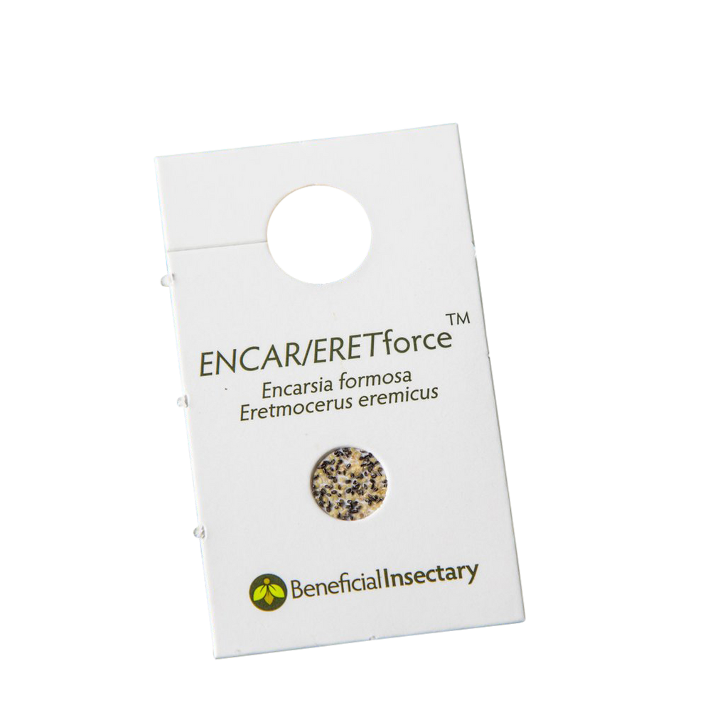 Beneficial Insects & Nematodes - Complete Biological Pest Control ...