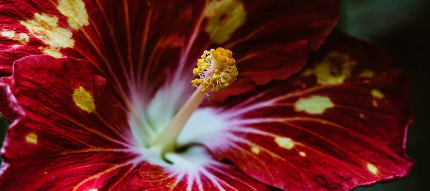 Organic Pesticides | Sound Horticulture