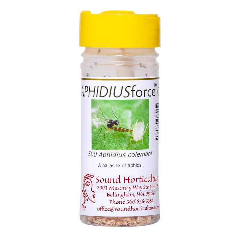 soft soap aphid control