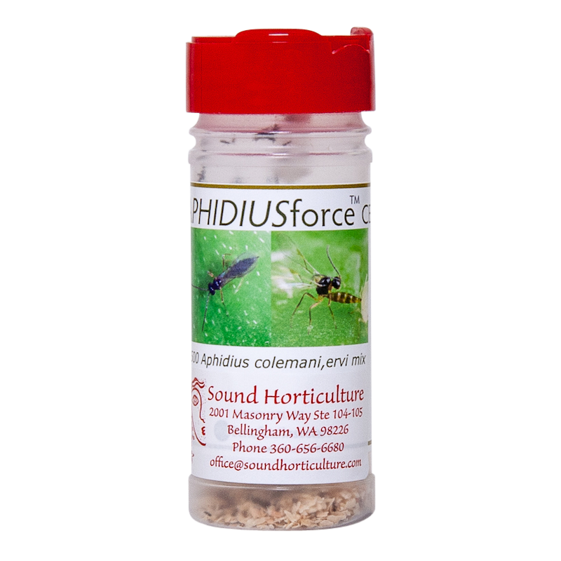 Aphidius colemani/ervi - Aphid Control - Parasitic Wasps– Sound ...