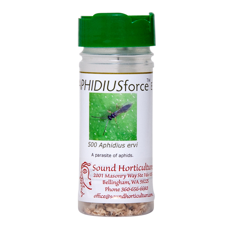 Aphid Control– Sound Horticulture