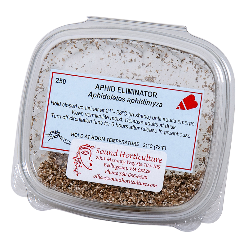 Aphidoletes aphidimyza - Aphid Control - Beneficial Insect– Sound ...