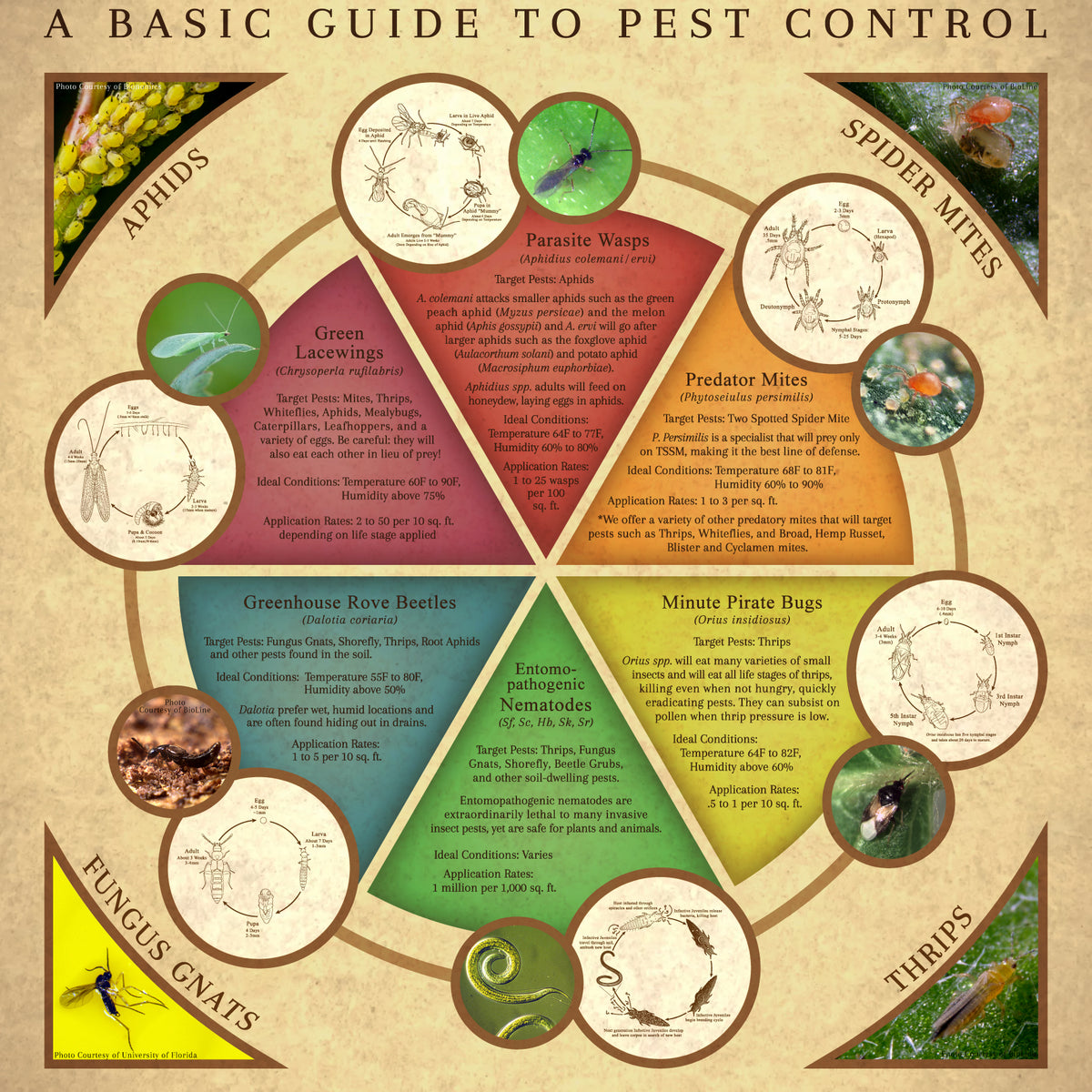Beneficial Insects Poster– Sound Horticulture