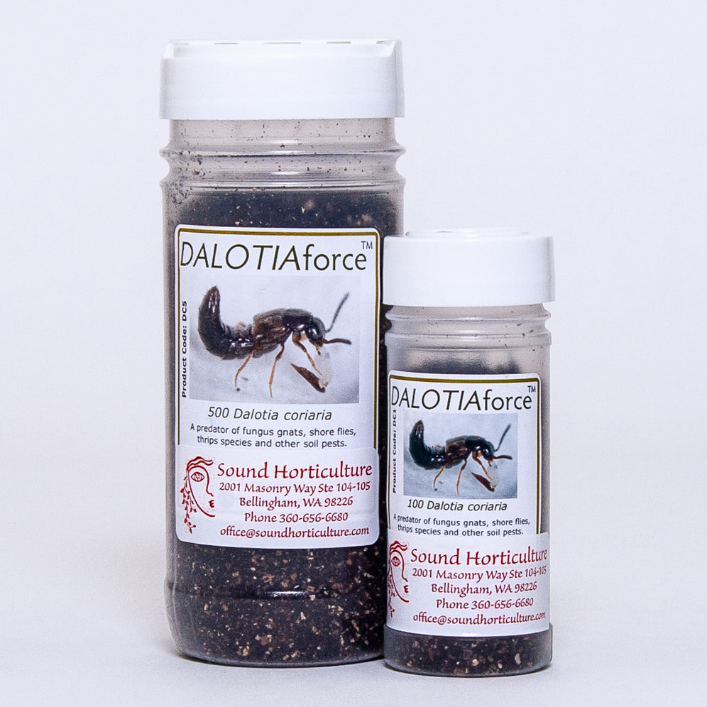 Beneficial Insects, Mites & Nematodes– Sound Horticulture