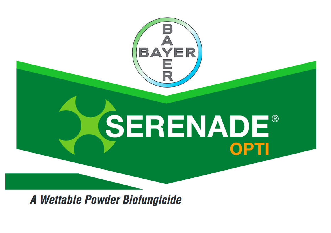 Leaf Spot Control– Sound Horticulture