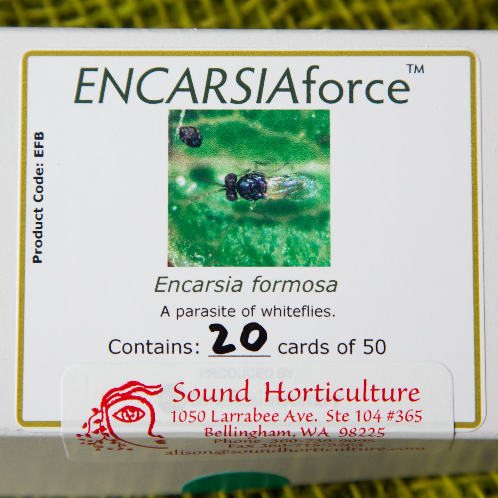 Encarsia formosa– Sound Horticulture